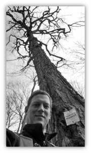 Recovering original General Land Office survey bearing trees – State ...