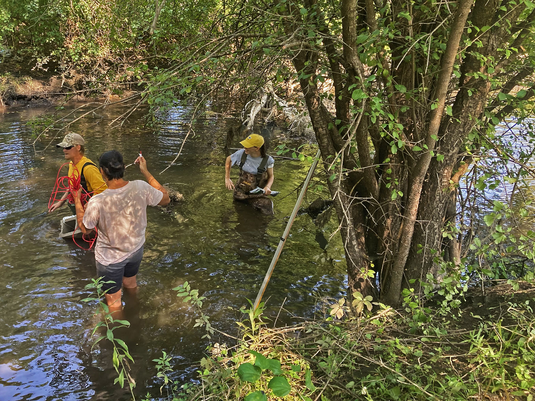 New Project Will Monitor and Map Chloride Levels in Starkweather Creek ...